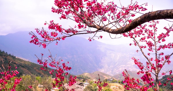 Viaje de primavera a comienzos de año – Destinos imperdibles